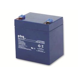 PBQ LiFePO4-Akku, LF5-12, 12,8V/5000mAh