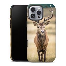 DeinDesign iPhone 16 Pro Max Handy Panzer Handyh&uuml;lle robuste Outdoor H&uuml;lle Schutzh&uuml;lle gl&auml;nzend Forrest Deer Meadow Tough Case