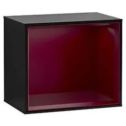 Villeroy & Boch Villeroy und Boch Finion Regalmodul G580HBPH 41,8x35,6x27cm, Emotion, Regal Peony Matt, Glossy Black Lacquer