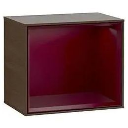 Villeroy & Boch Villeroy und Boch Finion Regalmodul G580HBGN 41,8x35,6x27cm, Emotion, Regal Peony Matt, Walnut veneer