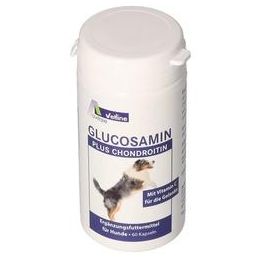 Avitale GLUCOSAMIN PLUS CHONDROITIN vet.