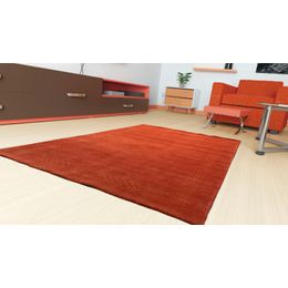 Wollteppich morgenland "Nova - Gabbeh Teppich Loribaft Perser" Teppiche Gr. B: 70 cm 1 St., L: 140 cm, rot Flachgewebe