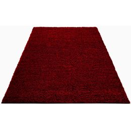 Hochflor-Teppich Home Affaire "Shaggy 30" Teppiche Gr. B: 280 cm 1 St., 30 mm, L: 390 cm, rot (weinrot) Teppich, Uni Farben, besonders weich und kuschelig