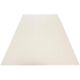 Teppich Esprit "Campus" Teppiche Gr. B: 120 cm 1 St., 17 mm, L: 170 cm, beige (cremeweiß) sehr flauschiger, dichter Flor, robust, Wohnzimmer, Schlafzimmer, uni