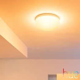 Philips Hue White & color Ambiance Flourish LED Deckenleuchte mit Dimmer, 8719514343504,