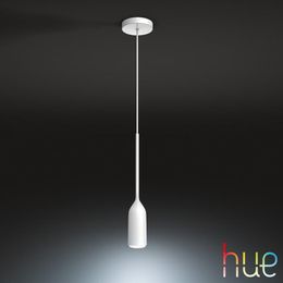 Philips Hue White Ambiance Devote LED Pendelleuchte Erweiterung mit Dimmer, 8719514341234,