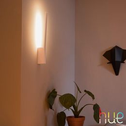 Philips Hue White & color Ambiance Liane LED W&leuchte mit Dimmer, 8719514343443,