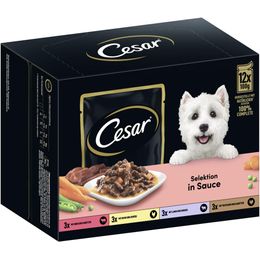 CESAR Portionsbeutel Multipack Selektion in Sauce 4 Varietäten 12x100g