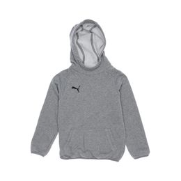 Puma Damen Hoodies & Sweater, grau, Gr. 128