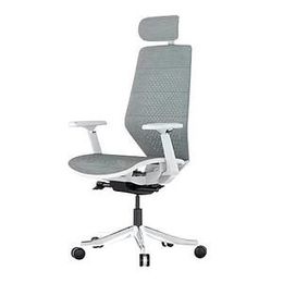 FlexiSpot Bürostuhl BS11 Pro, BS11G-PRO Stoff grau