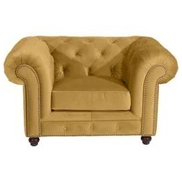 Chesterfield-Sessel Max Winzer "Old England, Loungesessel, modern, Retro und elegant, bequemer Sessel" Sessel Gr. Samtvelours 20442, B/H/T: 131cm x 76cm x 96cm, gelb (mais) mit edler Knopfheftung