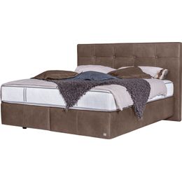 Boxspringbett Alina "Padma", grau (beigegrau hga 54), B:220cm L:214cm, Lederoptik HGA (100% Polyester), Komplettbetten, Boxspringbett, Kopfteil mit Kn&ouml;pfen, in unterschiedlichen Ausf&uuml;hrungen erh&auml;ltlich
