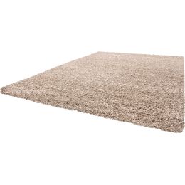 Hochflor-Teppich Ayyildiz Teppiche "Life Shaggy 1500" Teppiche Gr. B: 240 cm 1 St., 30 mm, L: 340 cm, beige Langflor, uni, große Farbauswahl, robust, auch als Läufer und in rund