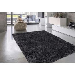 Hochflor-Teppich Calo-deluxe "Masada 900", grau (anthrazit), B:200cm H:40mm L:290cm, Kunstfaser, Teppiche, Wohnzimmer