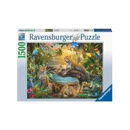 Ravensburger Leopardenfamilie im Dschungel