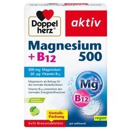 Queisser Doppelherz Magnesium 500 + B12 6X15 St