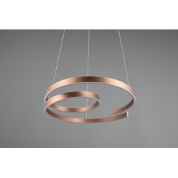 LED Pendelleuchte Trio LEUCHTEN "MARNIE, spiralförmige Hängelampe indirektes Licht warmweiß 3000K" Lampen Gr. 1 flammig, Ø 65,0 cm Höhe: 150,0 cm, 1 St., braun (coffee) 8000 Lumen höhenverstellbar 3 Stufen dimmbar Hängeleuchte Esszimmer