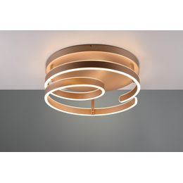 LED Deckenleuchte Trio LEUCHTEN "MARNIE, spiralförmige Deckenlampe indirektes Licht warmweiß 3000K" Lampen Gr. 1 flammig, Ø 55,0 cm Höhe: 21,0 cm, 1 St., braun (coffee) 6800 Lumen Ø 55cm 3 Stufen dimmbar über Wandschalter Wohnzimmer LED