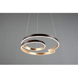 LED Pendelleuchte Trio LEUCHTEN "MARNIE, spiralförmige Hängelampe indirektes Licht warmweiß 3000K" Lampen Gr. 1 flammig, Ø 65,0 cm Höhe: 150,0 cm, 1 St., schwarz (schwarz gold) 8000 Lumen höhenverstellbar 3 Stufen dimmbar Hängeleuchte Esszimmer