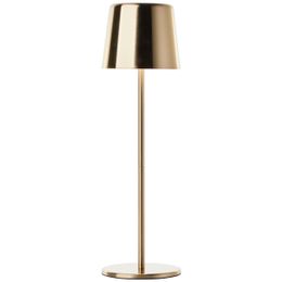 BRILLIANT LEUCHTEN Brilliant Xaana Tischleuchte LED Gold, 1-flammig