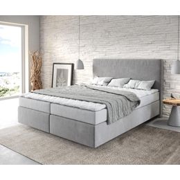 DeLife Boxspringbett Dream-Well 160x200 cm Mikrofaser Grau mit Matratze und Topper, Boxspringbetten