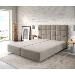 DeLife Boxspringgestell Dream-Fine 160x200 cm Mikrofaser Beige, Bettgestelle