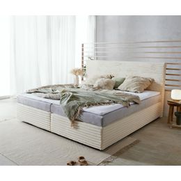 DeLife Boxspringbett Dream-Well Plüsch-Cord Beige 200x200 cm Bonell-Matratze PU-Topper, Boxspringbetten