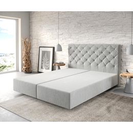 DeLife Boxspringgestell Dream-Great 160x200 cm Mikrofaser Silbergrau, Bettgestelle