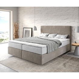 DeLife Boxspringbett Dream-Well 160x200 cm Mikrofaser Beige mit TFK Matratze und Visco Topper, Boxspringbetten