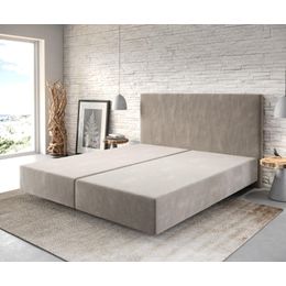 DeLife Boxspringgestell Dream-Well 180x200 cm Mikrofaser Beige, Bettgestelle