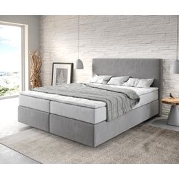 DeLife Boxspringbett Dream-Well 160x200 cm Mikrofaser Grau mit TFK Matratze und Visco Topper, Boxspringbetten