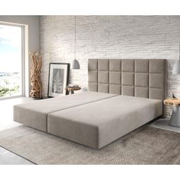 DeLife Boxspringgestell Dream-Fine 180x200 cm Mikrofaser Beige, Bettgestelle