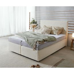 DeLife Boxspringbett Dream-Well Plüsch-Cord Beige 140x200 cm Bonell-Matratze PU-Topper, Boxspringbetten