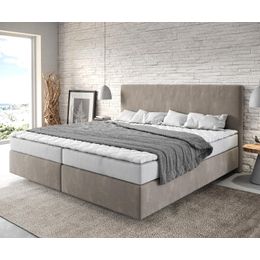 DeLife Boxspringbett Dream-Well Mikrofaser Beige 200x200 cm Bonell-Matratze PU-Topper, Boxspringbetten