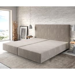 DeLife Boxspringgestell Dream-Well Mikrofaser Beige 200x200 cm, Boxspringbetten