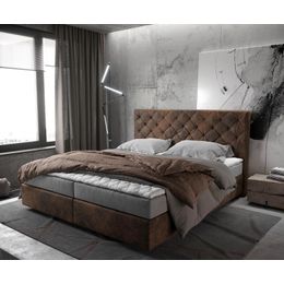 DeLife Boxspringbett Dream-Great 180x200 cm Braun Vintage mit Matratze und Topper, Boxspringbetten