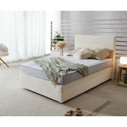 DeLife Boxspringbett Dream-Well Plüsch-Cord Beige 120x200 cm TFK-Matratze Visco-Topper, Boxspringbetten