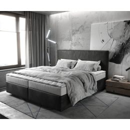 DeLife Boxspringbett Dream-Well 160x200 cm Mikrofaser Anthrazit Vintage mit Matratze und Topper, Boxspringbetten