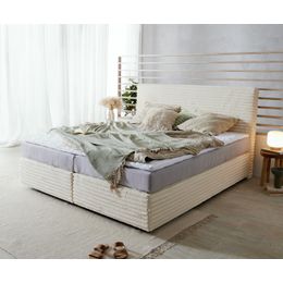 DeLife Boxspringbett Dream-Well Plüsch-Cord Beige 180x200 cm TFK-Matratze Visco-Topper, Boxspringbetten