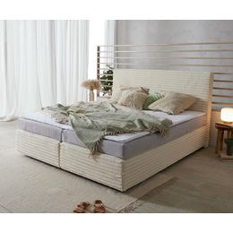 DeLife Boxspringbett Dream-Well Plüsch-Cord Beige 180x200 cm Bonell-Matratze PU-Topper, Boxspringbetten