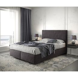 DeLife Boxspringbett Dream-Well 140x200 cm Mikrofaser Schwarz mit Matratze und Topper, Boxspringbetten