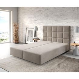 DeLife Boxspringgestell Dream-Fine 140x200 cm Mikrofaser Beige, Bettgestelle