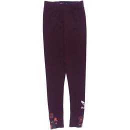 adidas originals Damen Stoffhose, bordeaux, Gr. 34