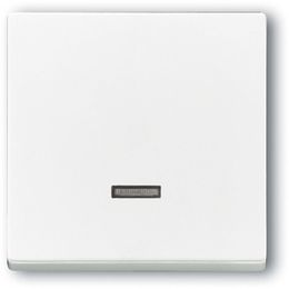 BUSCH-JAEGER Future Linear 6543-84-101, Zentralscheibe f&uuml;r Tastdimmer