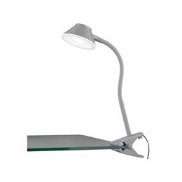 REALITY LED-Klemmleuchte Berry R22191287 titanfarbig, 3,5 W, 400 lm, 3000 K