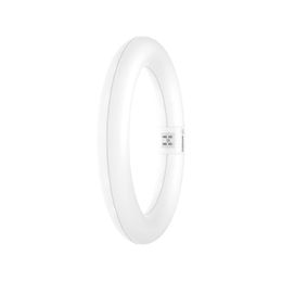 Osram LED-R&ouml;hre T9, Ringform, G10q, EEK: F, 11W, 1200lm, 3000K