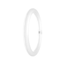 Osram LED-R&ouml;hre T9, Ringform, G10q, EEK: E, 18,3W, 2200lm, 4000K