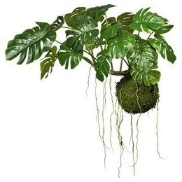 Kunstpflanze Creativ green "Splitphilodendron", grün, B:120cm H:80cm, Kunststoff, Kunstpflanzen