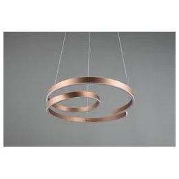 Trio LEUCHTEN LED Pendelleuchte "MARNIE, spiralförmige LED Hängelampe indirektes Licht warmweiß 3000K", braun (coffee), 1 flammig, Ø 65,0cm H: 150,0cm,, Lampen, 8000 Lumen höhenverstellbar 3 Stufen dimmbar Hängeleuchte Esszimmer