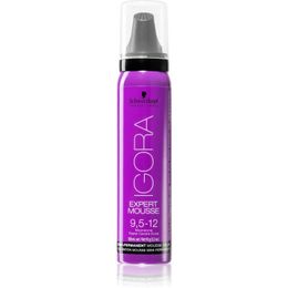 Schwarzkopf Professional IGORA Expert Mousse Schaumtönung für das Haar Farbton 9,5-12 Moonstone 100 ml